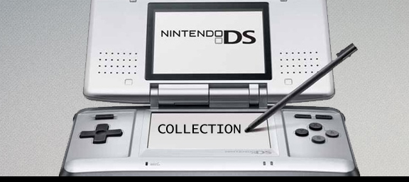 Nintendo DS | thegamerpad